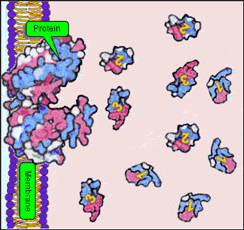 Molecular recognition